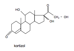 Synthesis of Steroid Hormones - WikiLectures