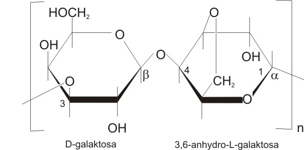 Electrophoresis - WikiLectures