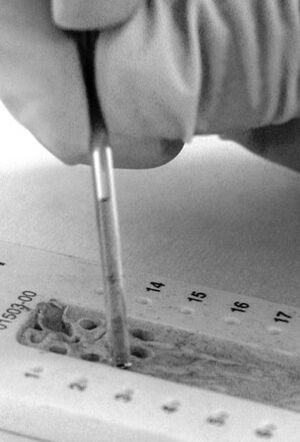 Spectrophotometry - WikiLectures