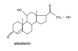 Synthesis of Steroid Hormones - WikiLectures
