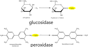 Biochemical examination for patient with diabetes mellitus - WikiLectures