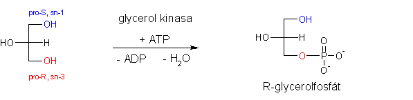 Glycerol - WikiLectures