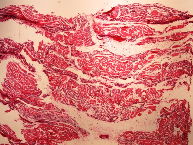 OZPP module - Practicum No. 2 - WikiLectures