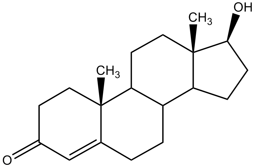 Testosterone - WikiLectures