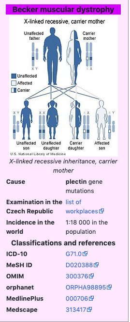 Becker muscular dystrophy - WikiLectures
