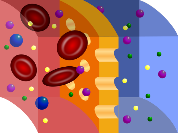 Dialysis of Solutions - WikiLectures