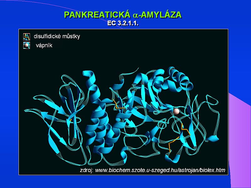 Amylase / characteristics - WikiLectures