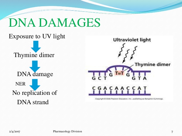 Xeroderma pigmentosum - WikiLectures
