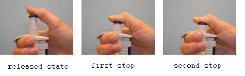 Introduction to Work in Chemical Laboratory - WikiLectures