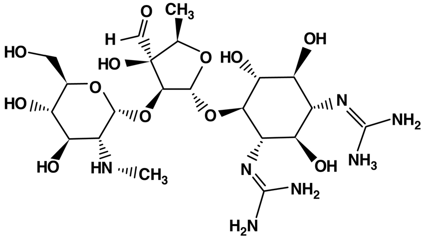 Aminoglycosides - WikiLectures