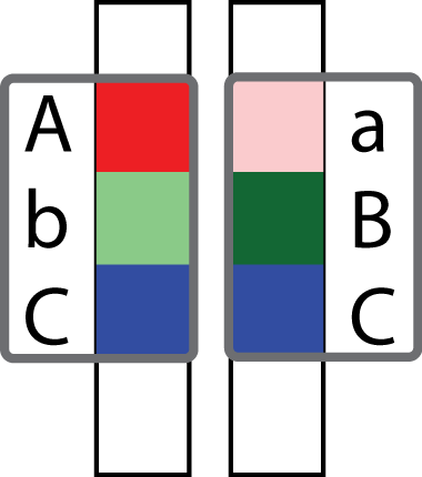 Haplotype - WikiLectures