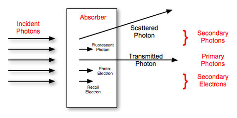 Sciagraphy and fluoroscopy - WikiLectures