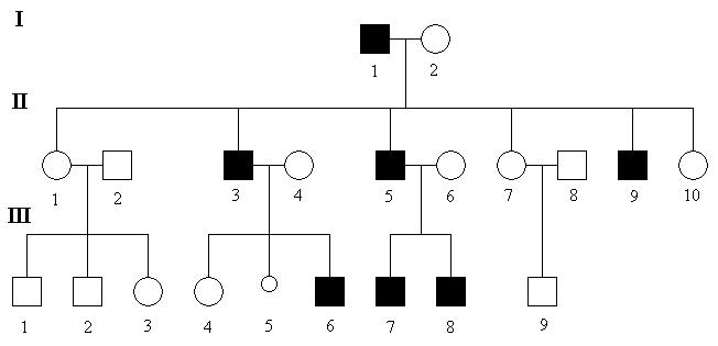 Y-linked inheritance - WikiLectures