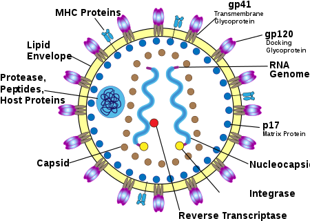 Virion - WikiLectures